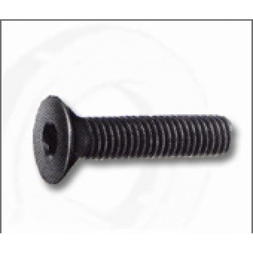 Hex Socket Flat Countersunk Head Cap Screw Csk